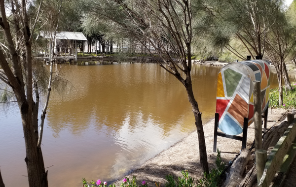 Two north-east Geelong gardens are going on display - Surf Coast Times