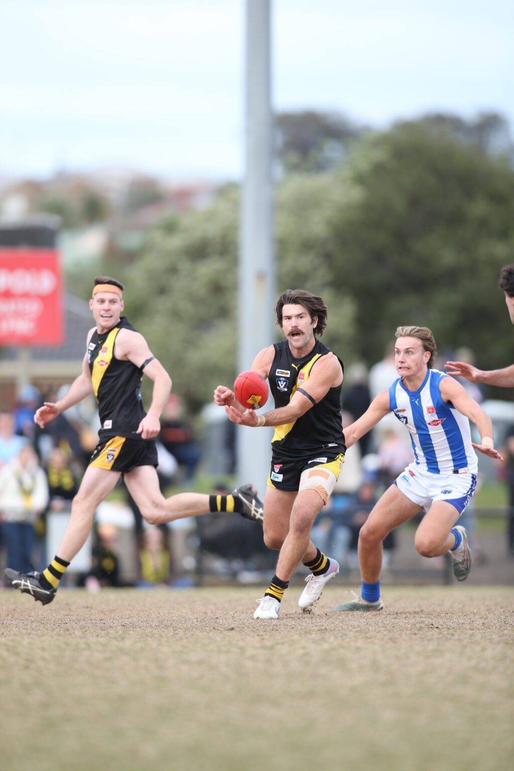 Tigers go back to back after thrashing Roos in Grand Final - Surf Coast ...