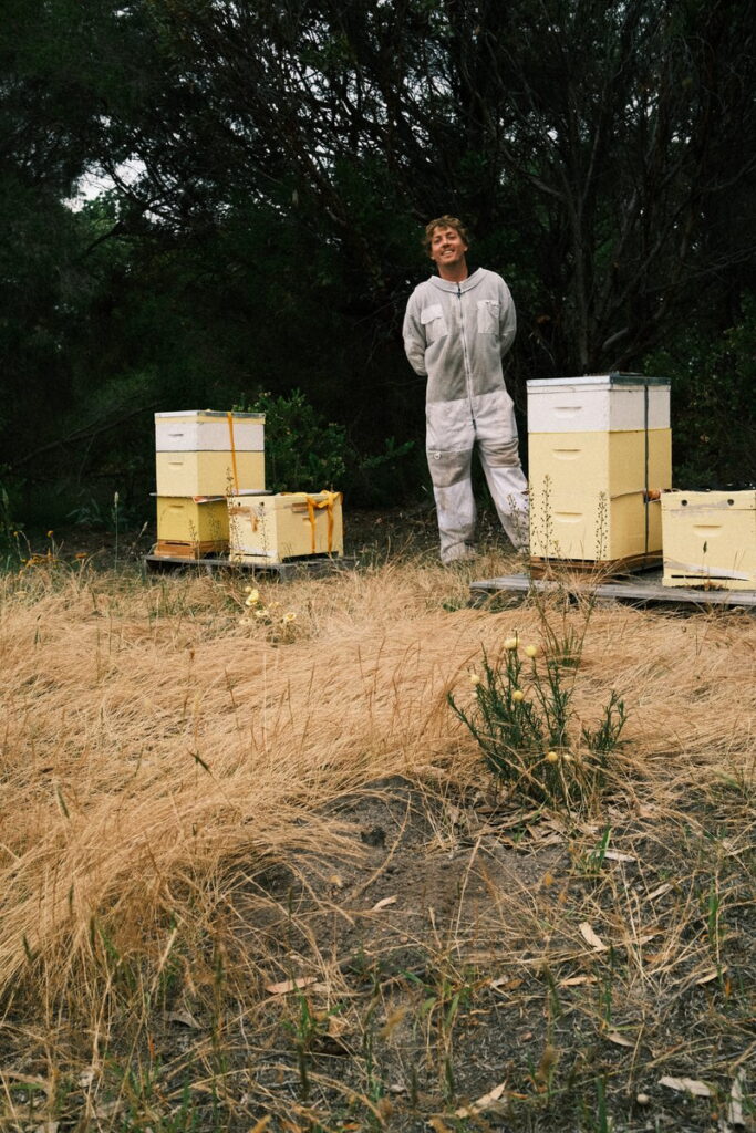 Beekeeper Tom shares the buzz at Anglesea markets - Surf Coast Times