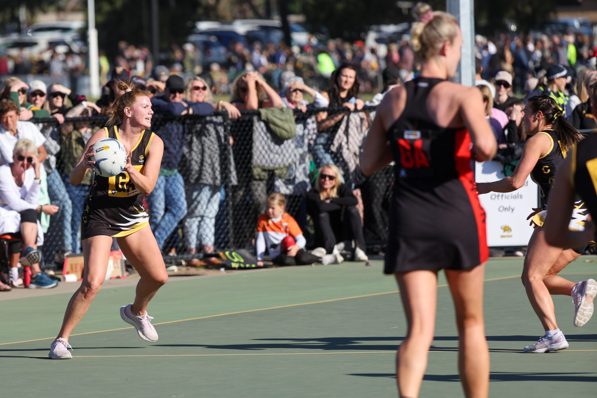 Colac coach hints at dynasty following Grand Final thriller - Geelong Times