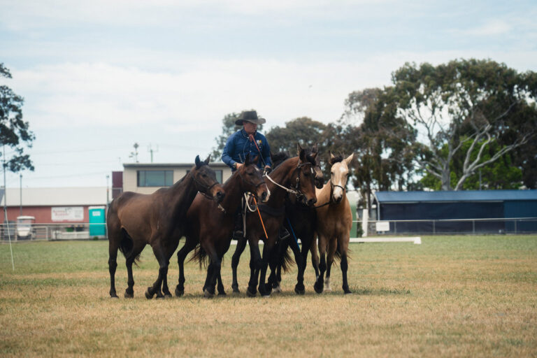 Geelong Show draws big crowd - Geelong Times