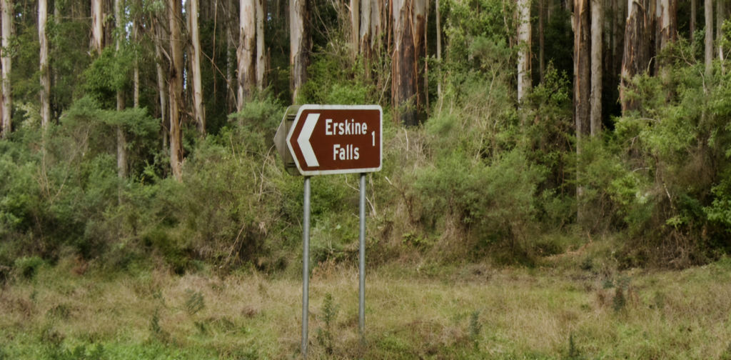 Long weekend parks chaos looms - Geelong Times