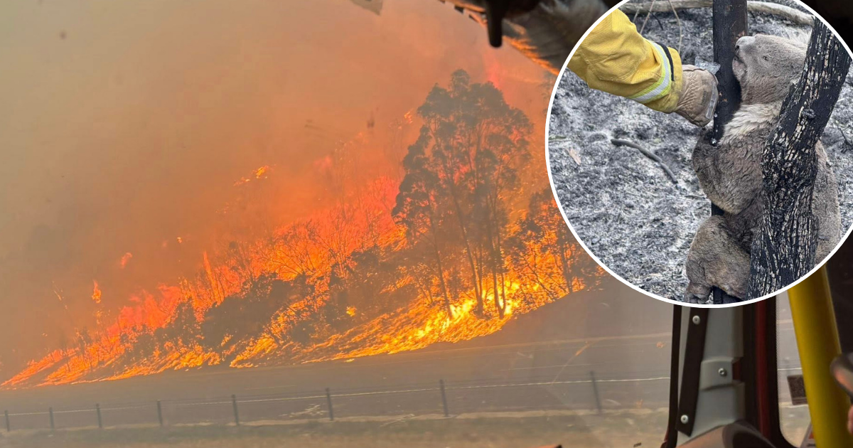 Mild winds still a danger as Otway fire warnings ease - Bendigo Times