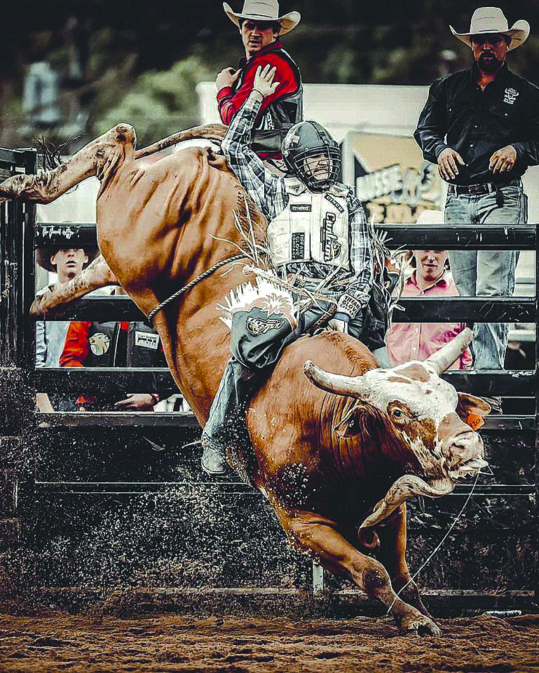 Celebrate New Years Eve with bulls and cowboys at rodeo - Byron Coast Times