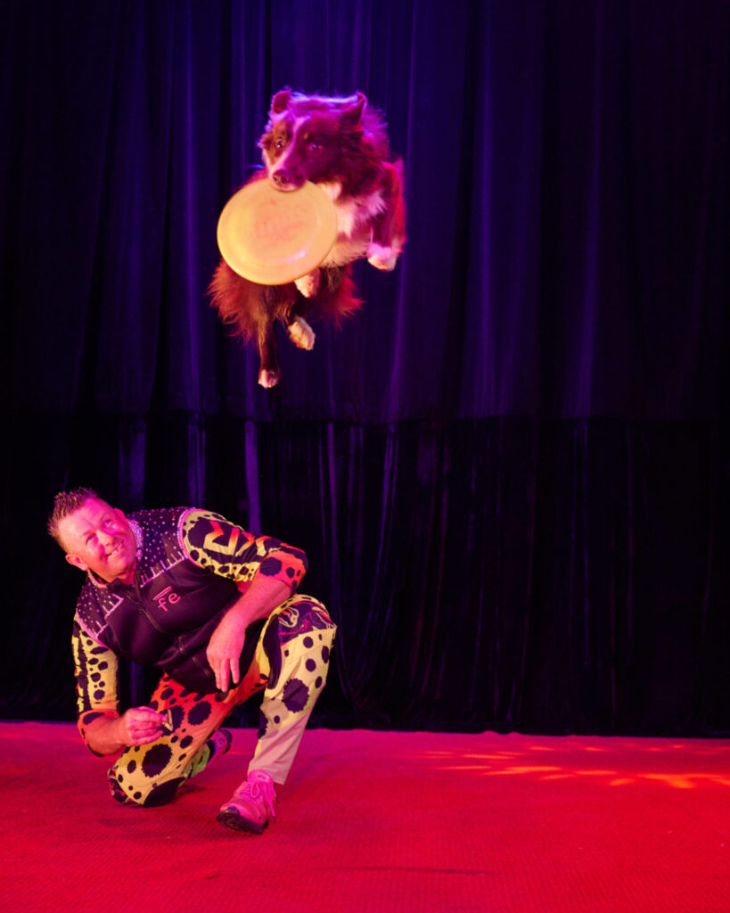 Acrobats and performance animals to light up Hudsons Circus - Byron ...