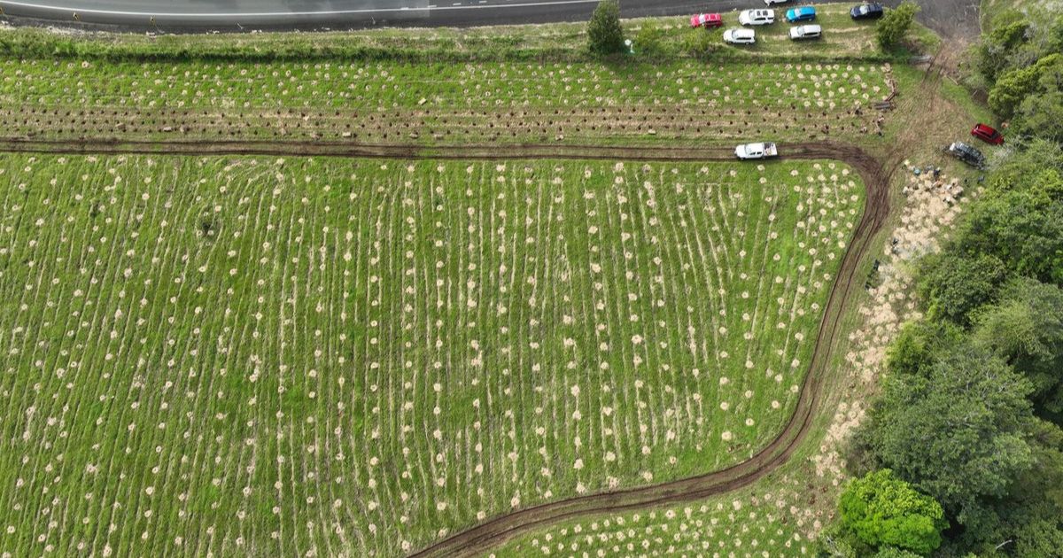 Visual tool highlights scope of river and land restoration work ...