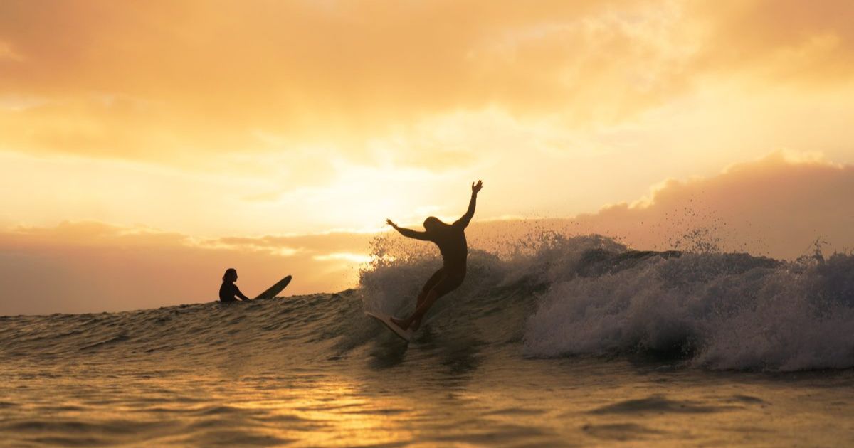 How a local surfer’s miracle survival became an award-winning ...