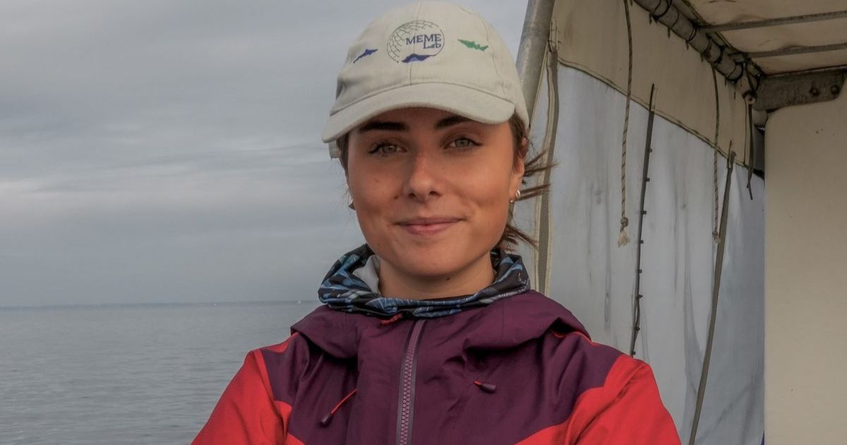 Researcher takes aim at shark myths - Armstrong Creek Times
